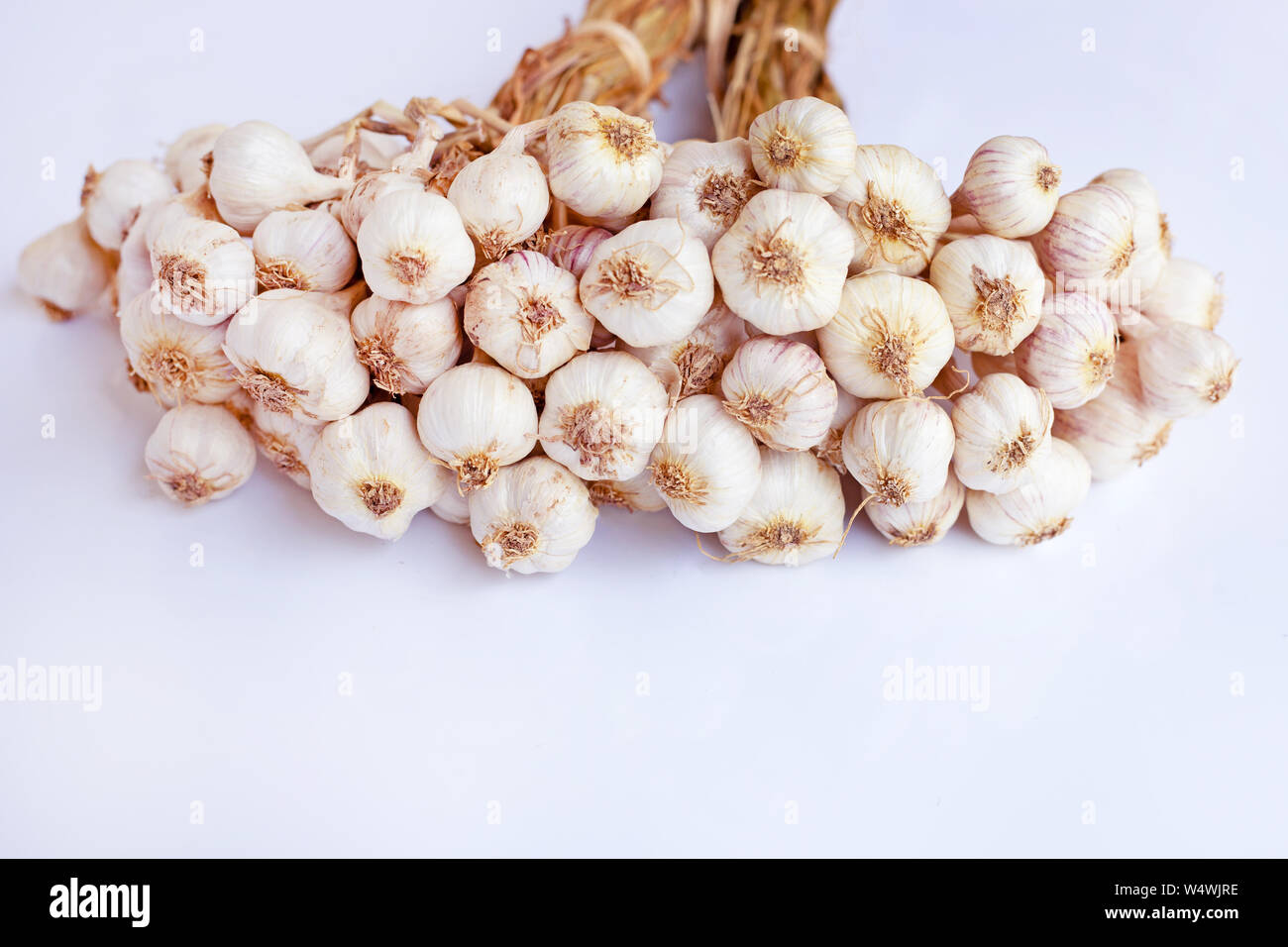 Garlic on a white background Stock Photo - Alamy