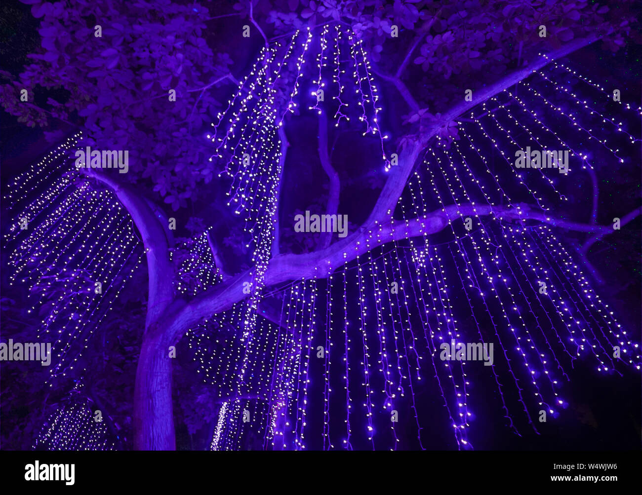 Festive lights on trees bright hi-res stock photography and images - Alamy