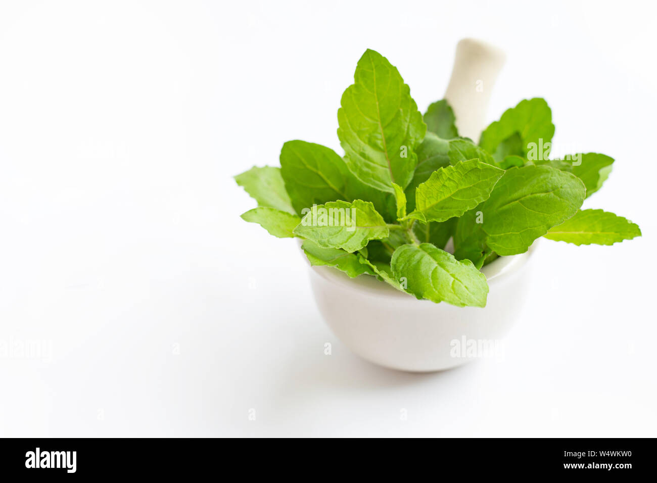 Holy basil leaves in porcelain mortar on white background Stock Photo ...