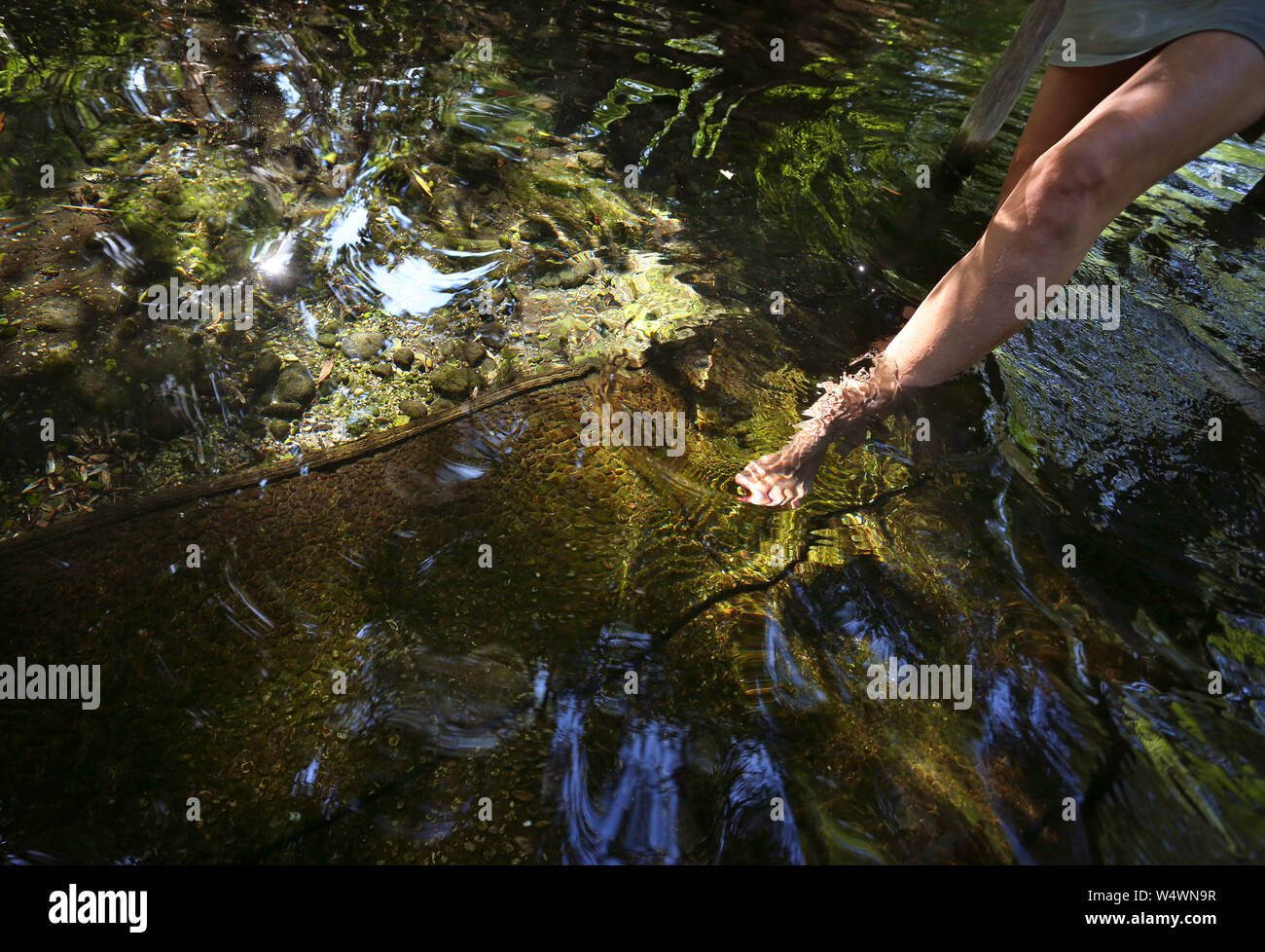 Kneipp Basin High Resolution Stock Photography and Images - Alamy