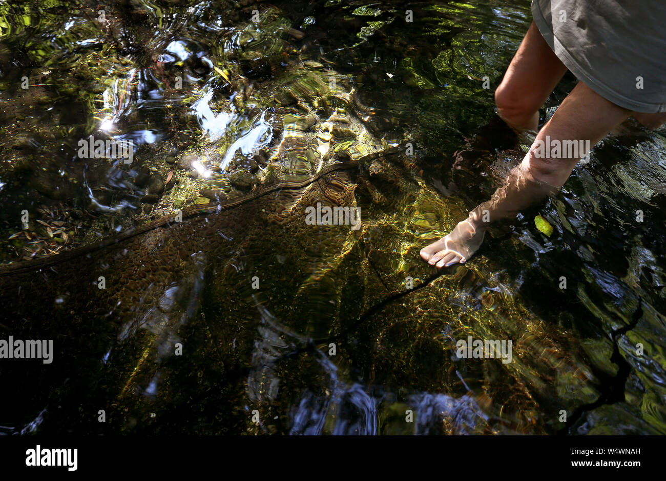 Kneipp Basin High Resolution Stock Photography and Images - Alamy