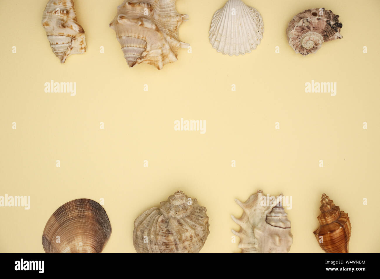Seashells on the edges of yellow background Stock Photo - Alamy