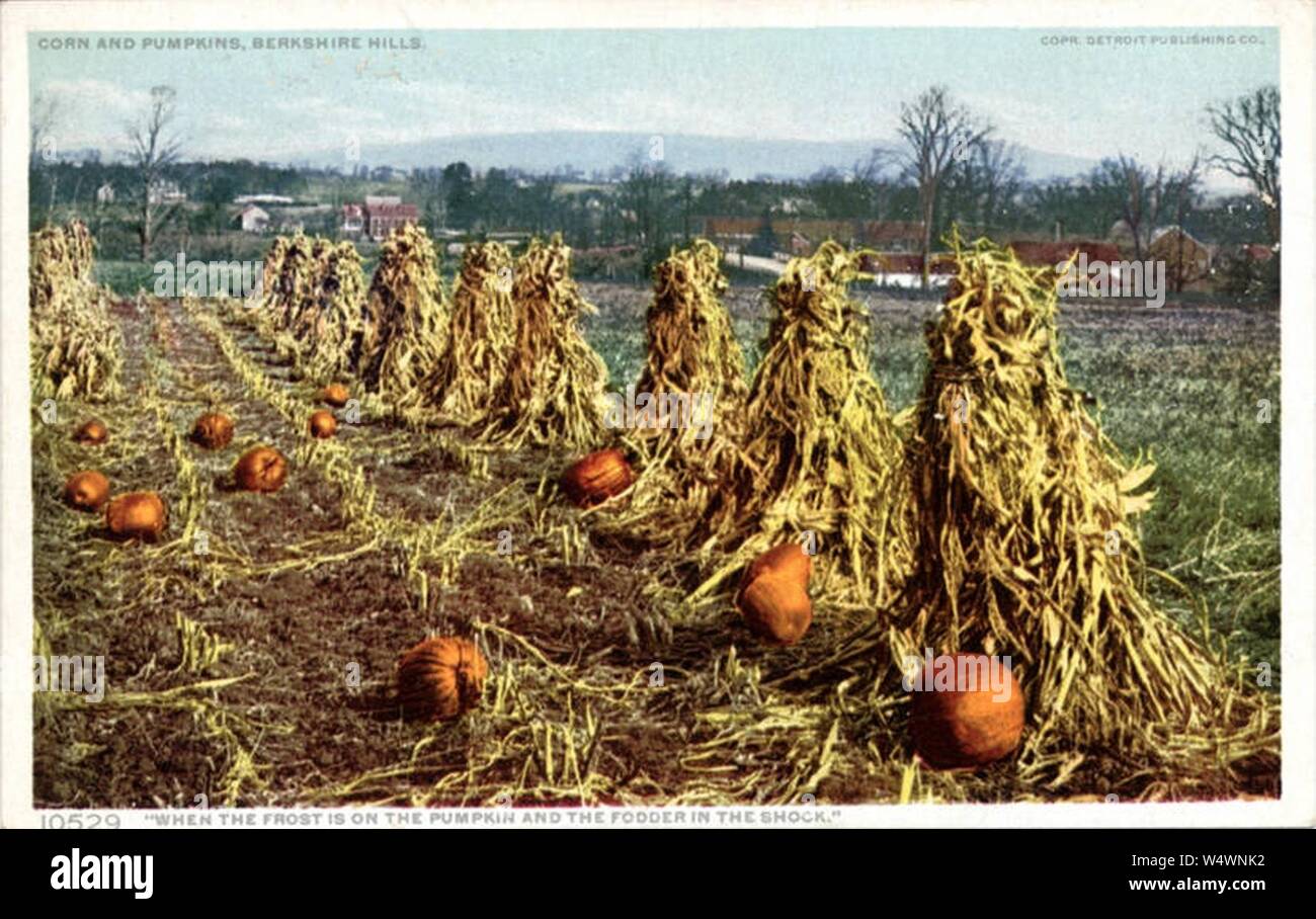 Corn and Pumpkins, When the forst is on the Pumplin and the fodder in ...