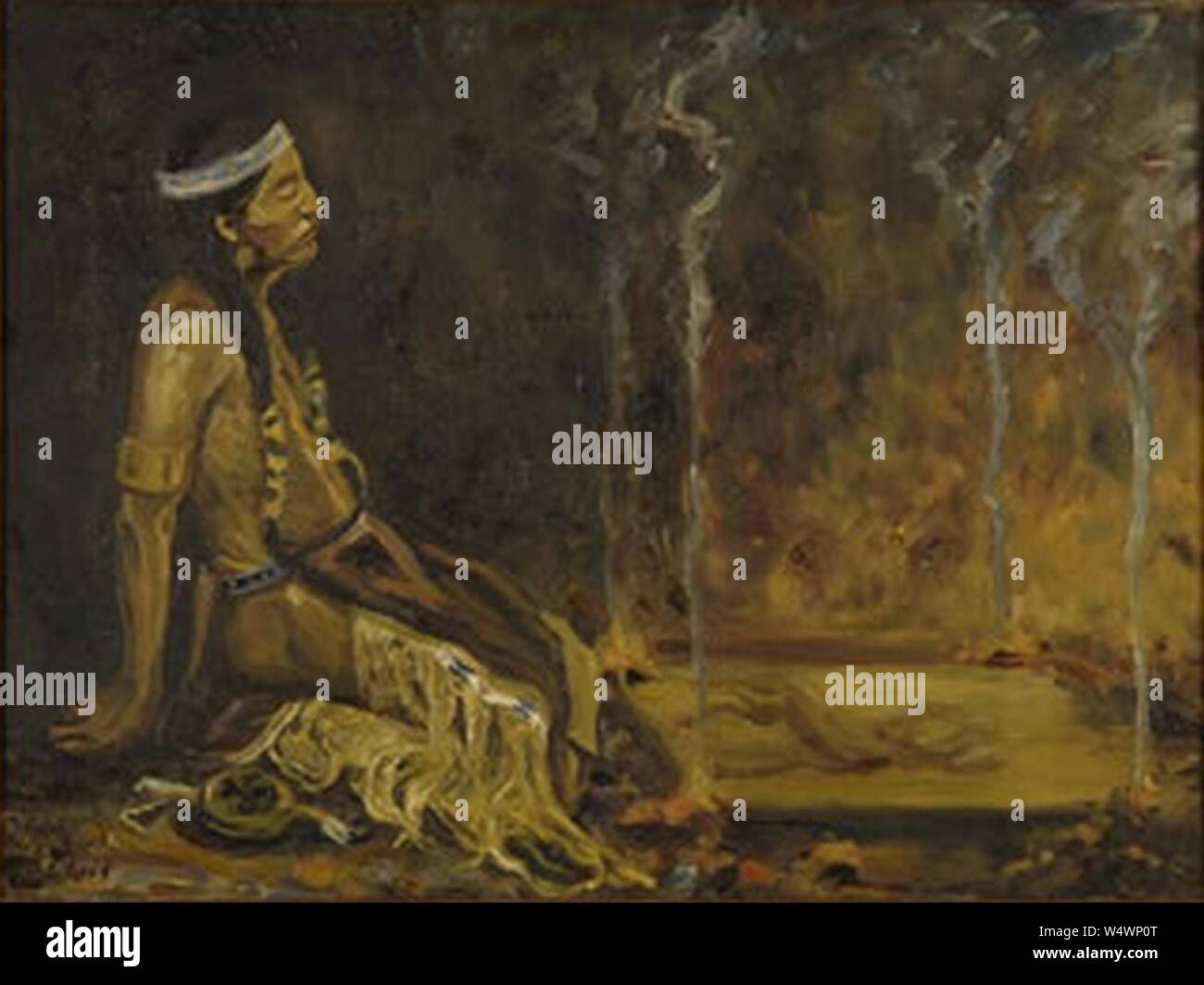 Cornelia Cassady Davis-Portrait of a Native American Stock Photo - Alamy