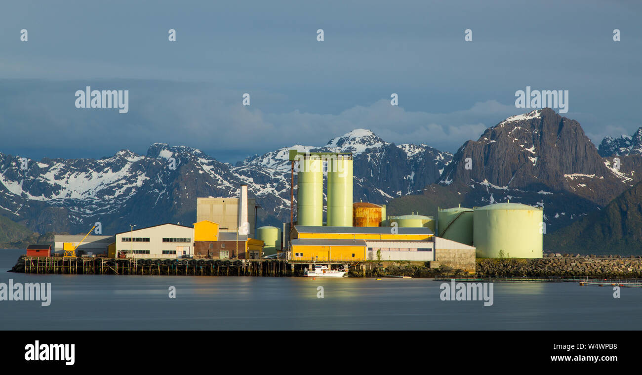 Former herring factory, now a national museum of the Norwegian fishing ...