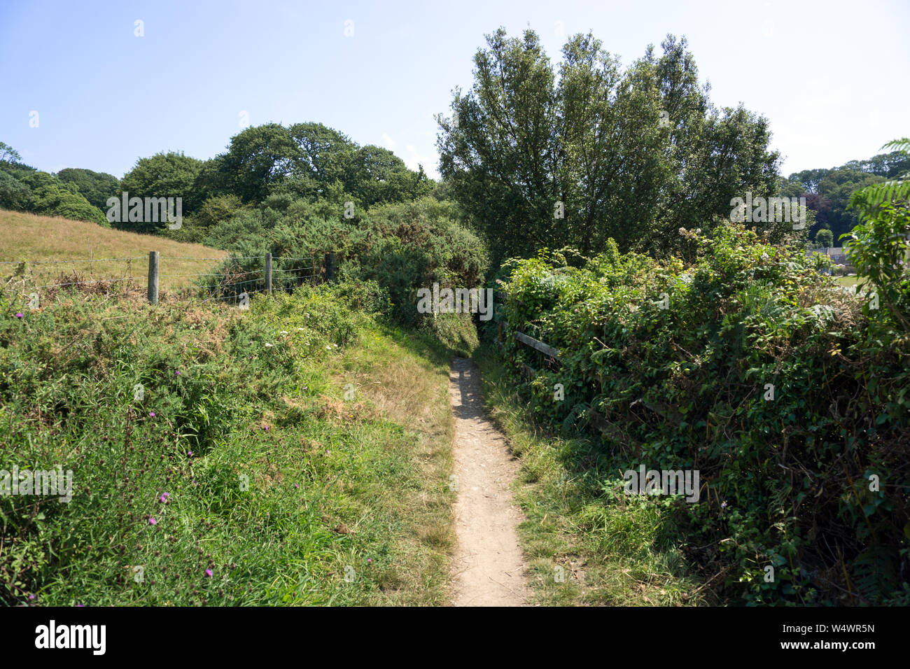 Coast Path, Roseland Peninsula, Cornwall UK Stock Photo - Alamy
