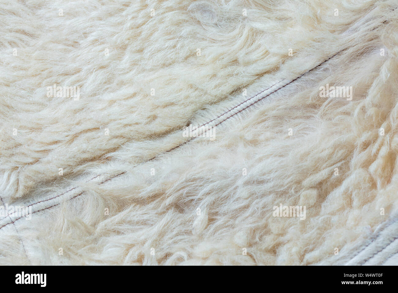 Old white sheep fur lining closeup background with selective focus and ...