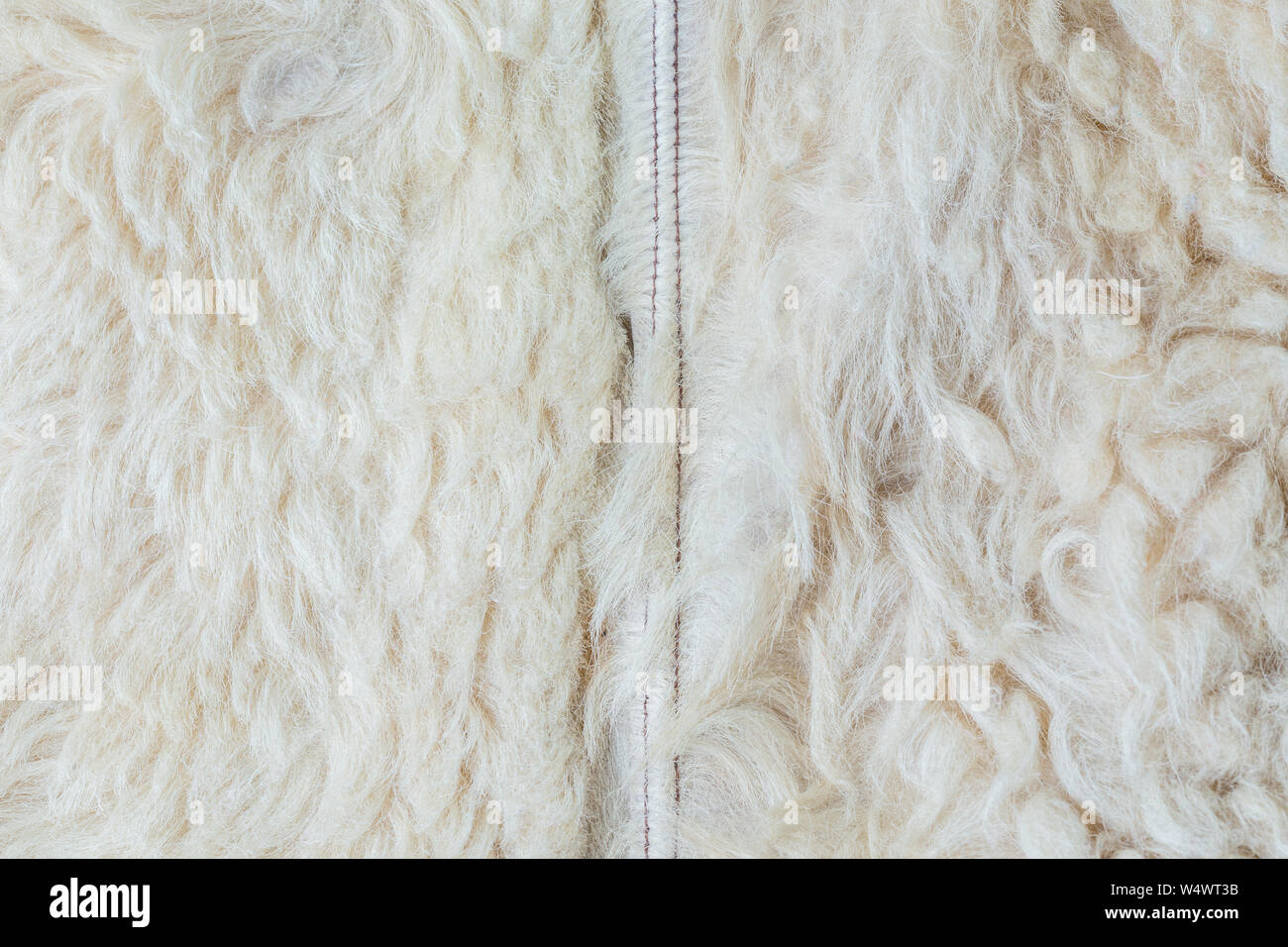Old white sheep fur lining closeup background with selective focus and ...