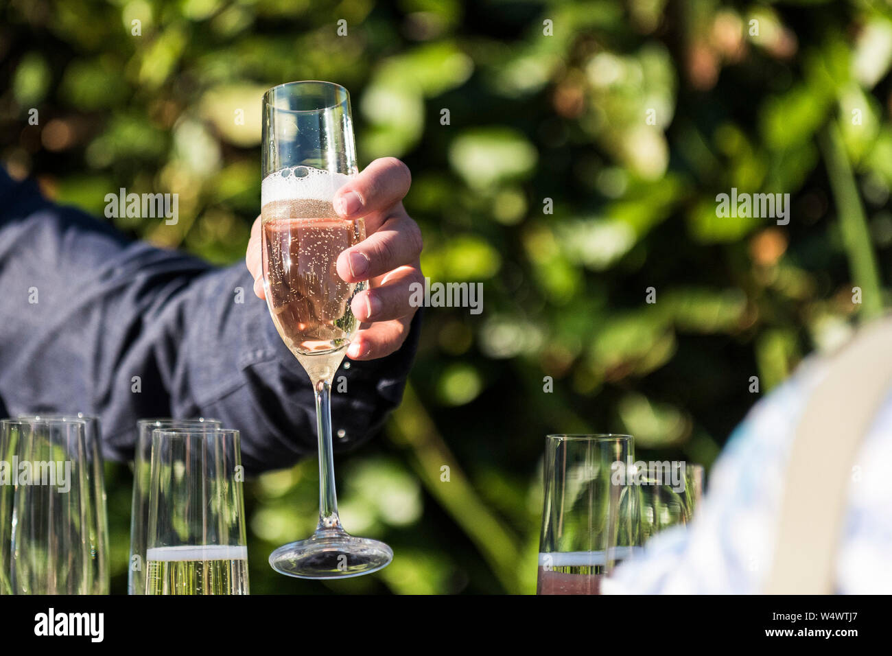 A hand holding a glass of Prosecco Stock Photo - Alamy