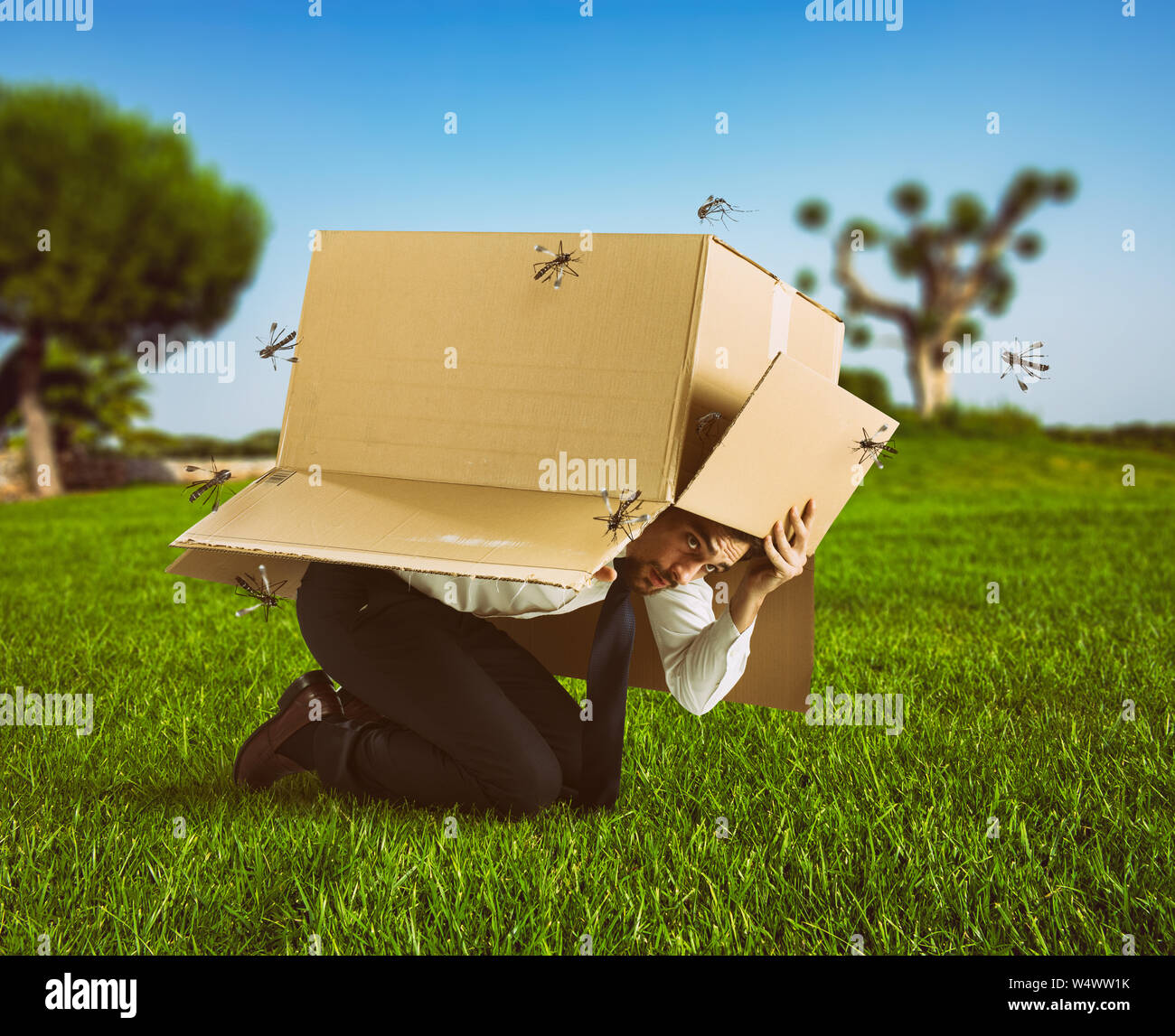 Man defends himself from the attack of mosquitoes hiding in a cardboard ...