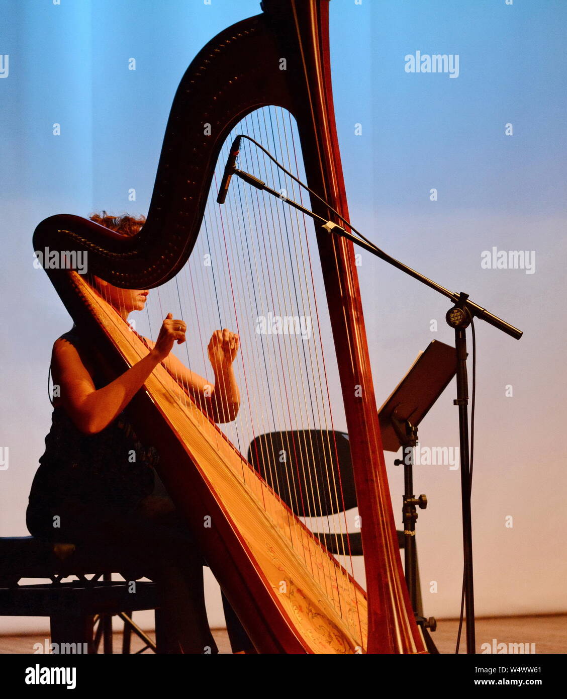 Harp player. Classical musician harpist playing harp. Female musician ...