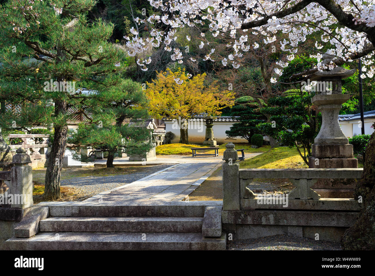 Fresh Japanese temple garden at spring in Kyoto Stock Photo - Alamy