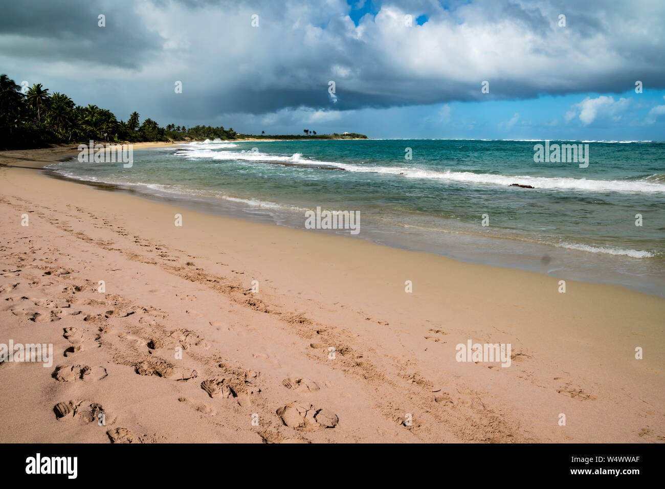 Curved beach of Cabarete Beach in DR Stock Photo - Alamy