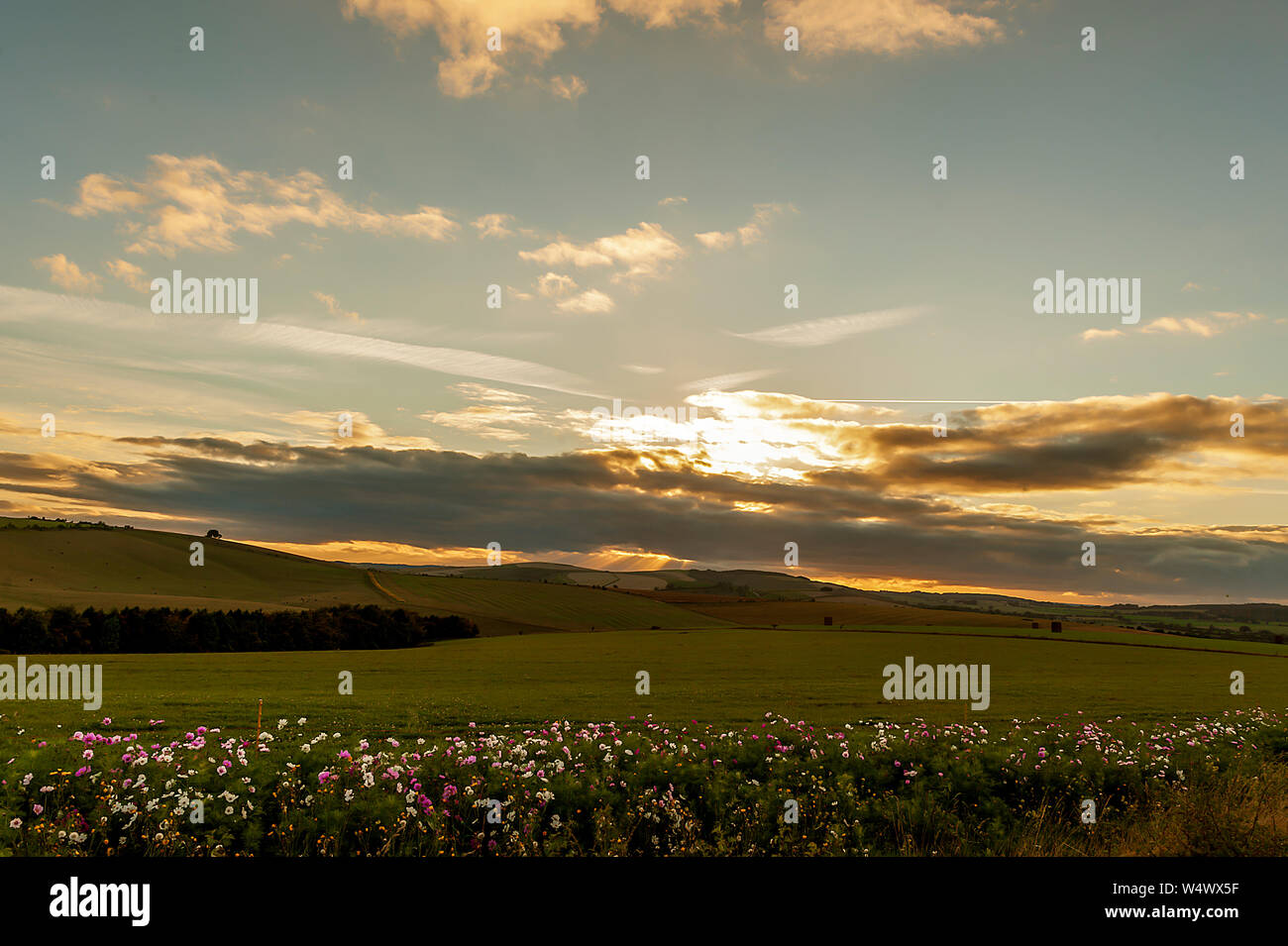 Warm scenery hi-res stock photography and images - Alamy