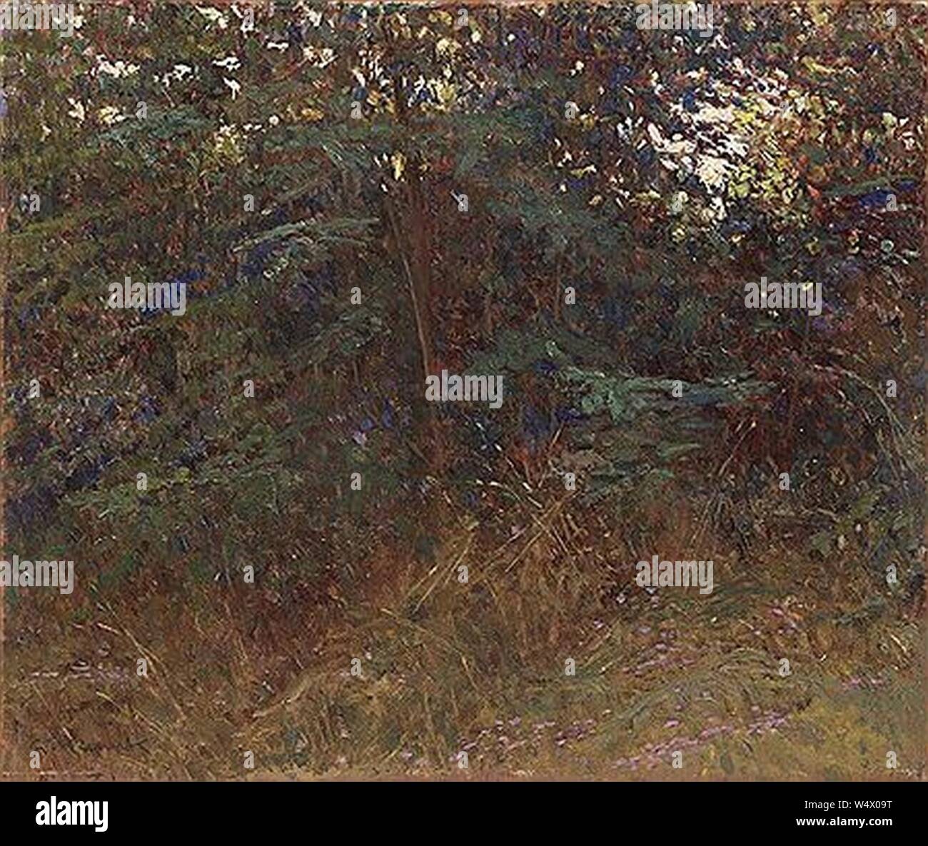 Corner of Forest Stock Photo - Alamy