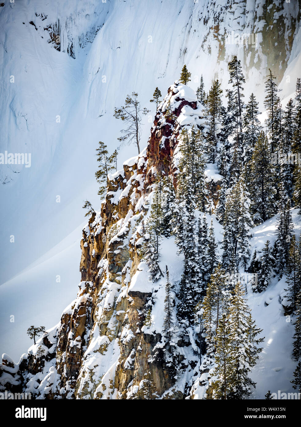 Sharp christmas trees hi-res stock photography and images - Alamy