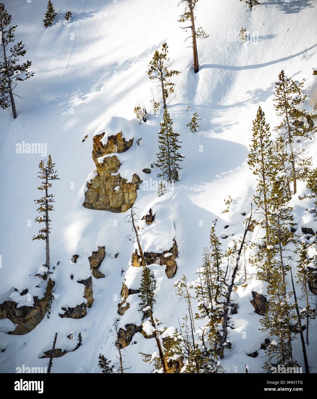 Steep hillside of fresh fallen snow in Yellowstone Stock Photo - Alamy