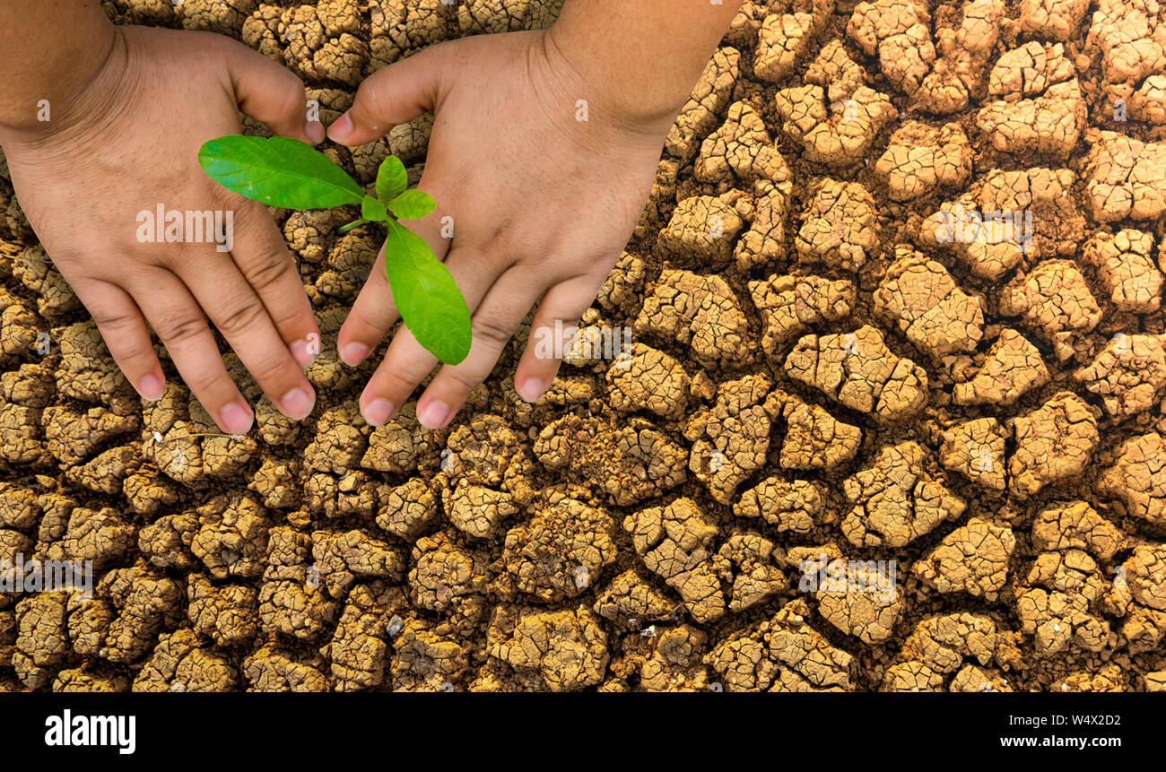 Planting trees, loving the environment and protecting nature Nourishing ...
