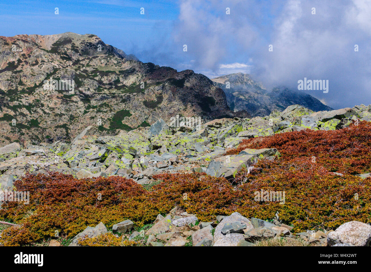 Beautiful colorful landscape during the GR20 hike in Corsica, France ...