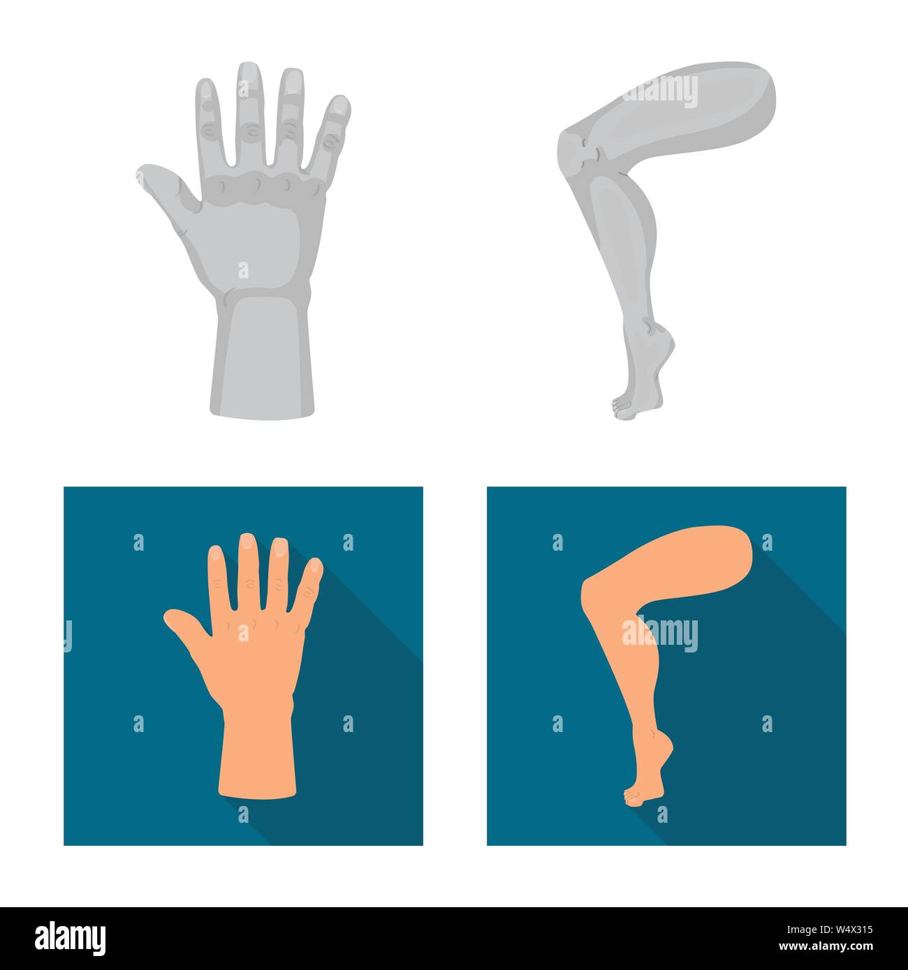 Isolated object of body and part sign. Set of body and anatomy stock ...