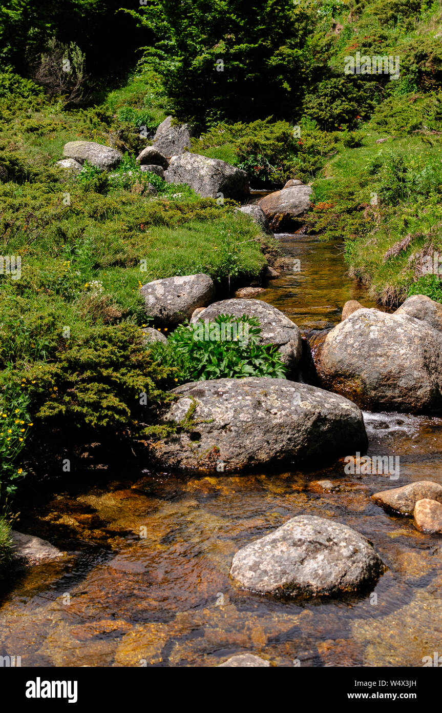Beautiful river stream in a grassland landscape during the GR20 hike in ...