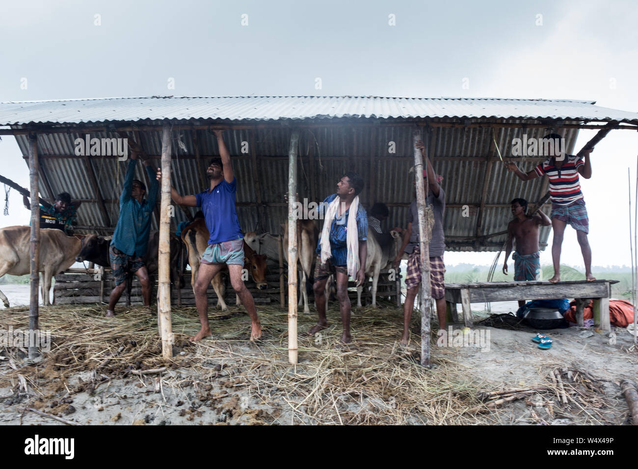 People rebuilding their home after water of flood went down Stock Photo ...