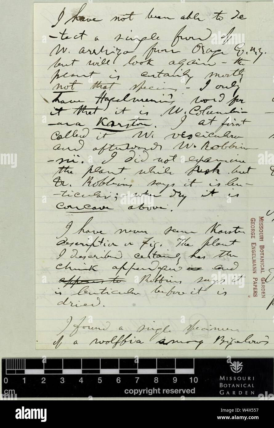 Correspondence - Austin (Coe) and Engelmann (George) (Aug 20, 1867 (1 ...
