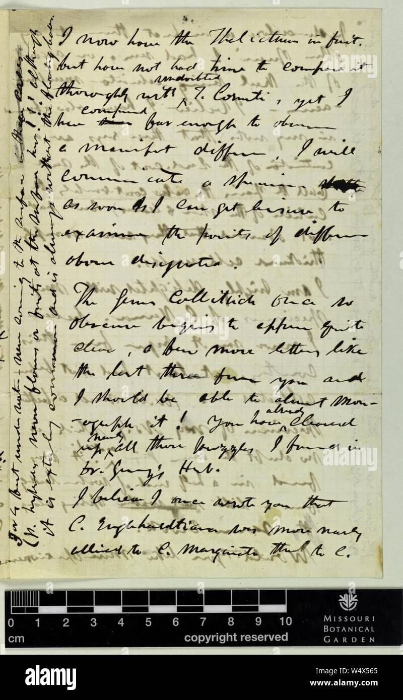 Correspondence - Austin (Coe) and Engelmann (George) (Oct 04, 1864 (3 ...