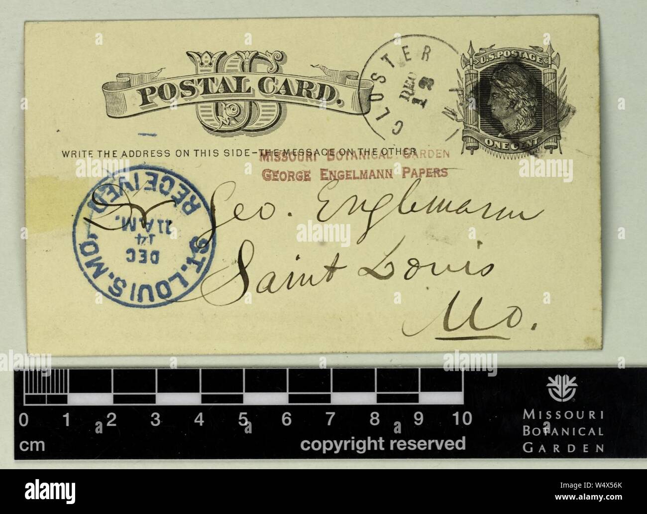 Correspondence - Austin (Coe) and Engelmann (George) (Dec 12, 1876 (1 ...