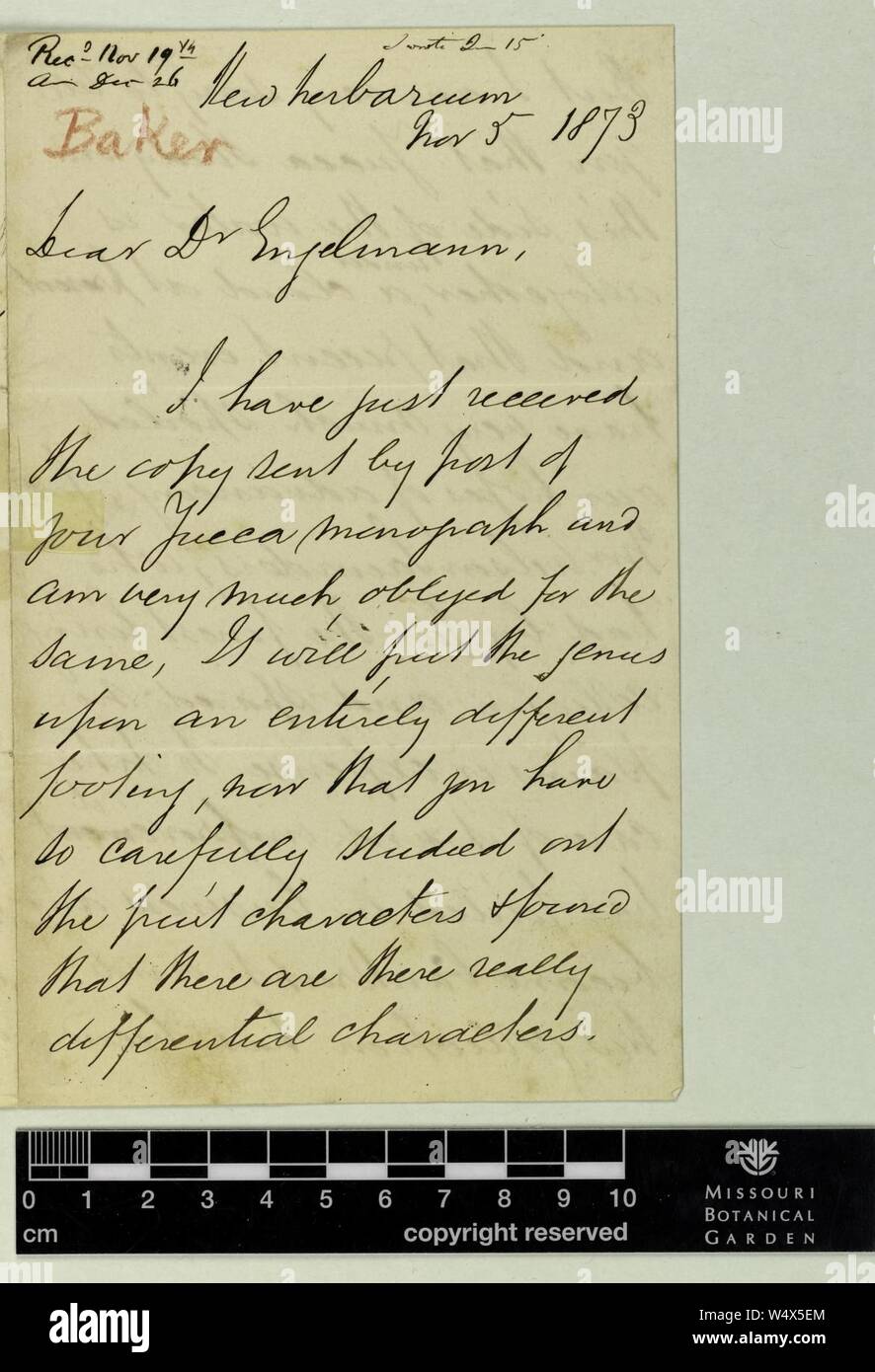 1 nov 1873 hi-res stock photography and images - Alamy