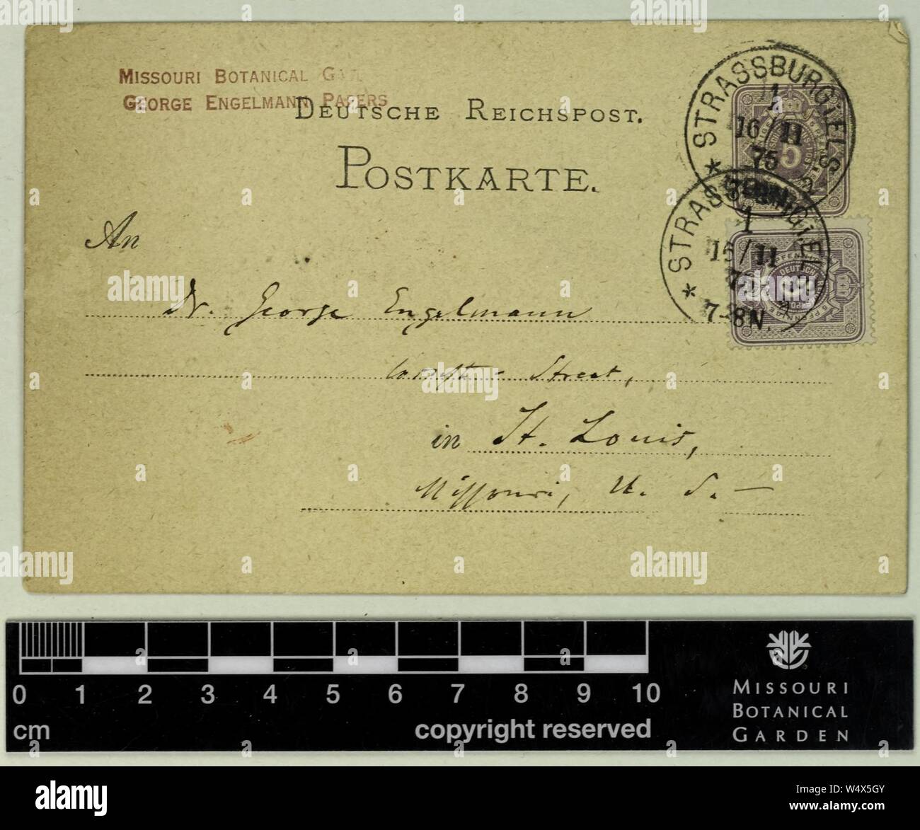 Correspondence - Bary (Anton) and Engelmann (George) (Nov 15, 1875 (1 ...