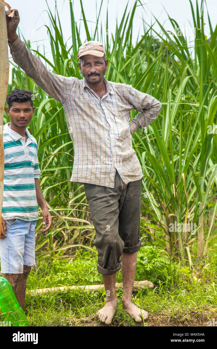 Indian Farmer in Paddy Field. A paddy field is a flooded parcel of ...