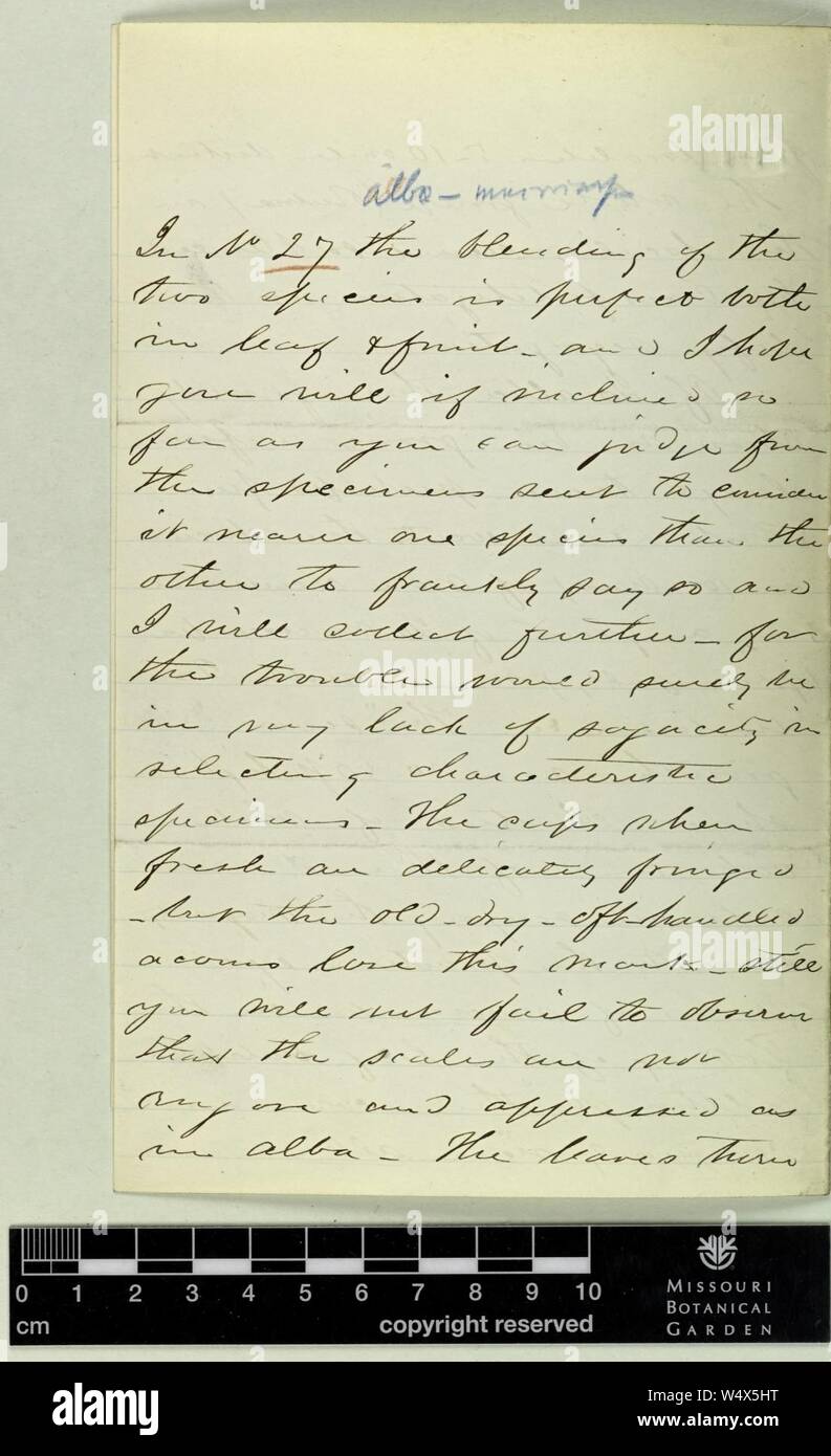 Correspondence - Bebb (Michael) and Engelmann (George) (Mar 02, 1877 (2 ...
