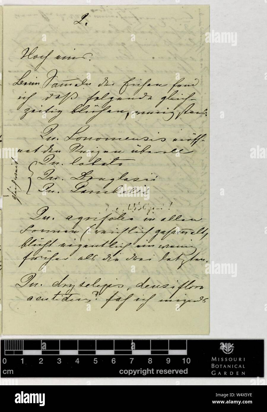 Correspondence - Bolander (Henry) and Engelmann (George) (May 13, 1866 ...