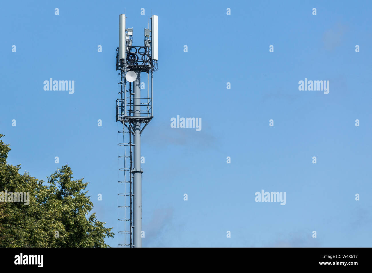 Gray pipe telecommunication tower with top of green tree on blue sky ...