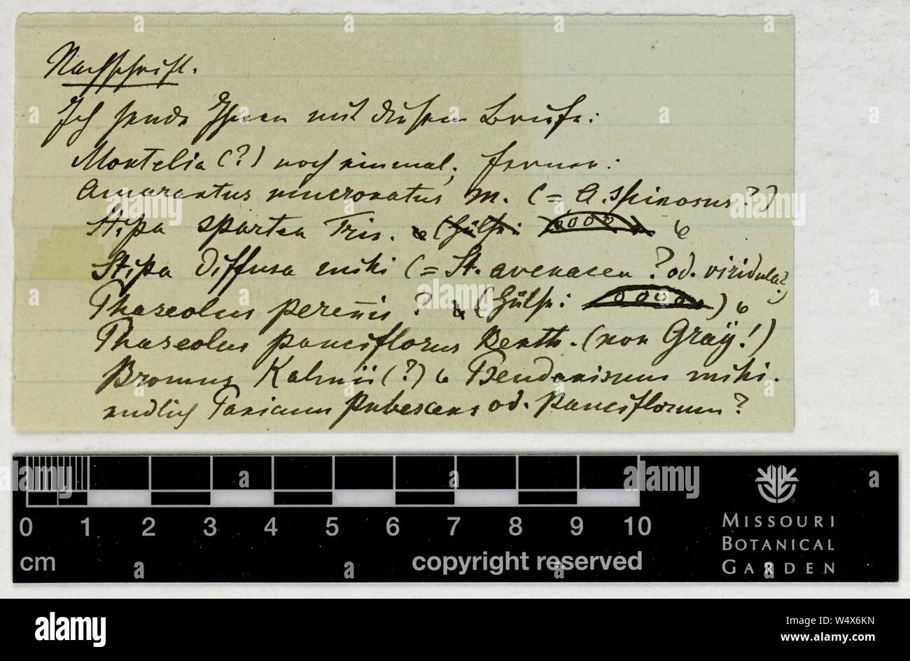 Thomas engelmann hi-res stock photography and images - Alamy