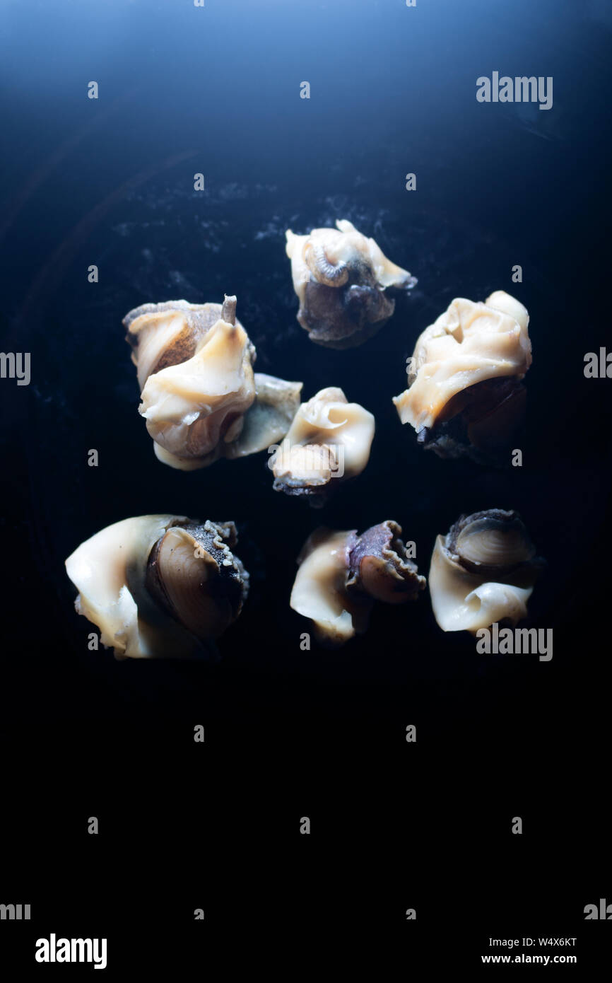 Sea snails (Rapana) extracted from the shells and prepared for cioppino ...