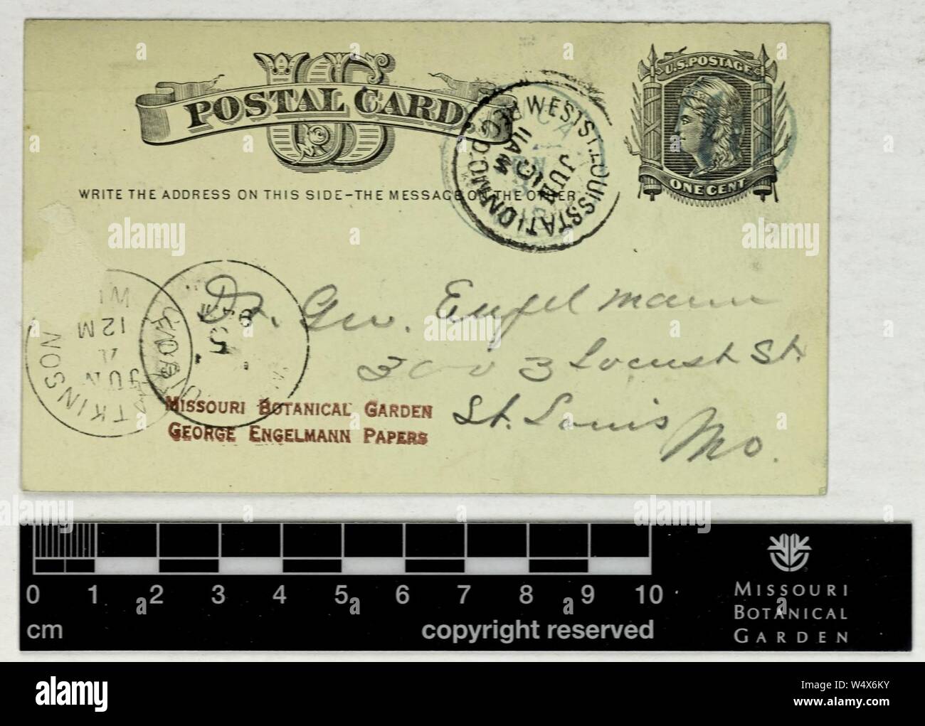 Correspondence - Burdick (Justin) and Engelmann (George) (Jun 03, 1881 ...