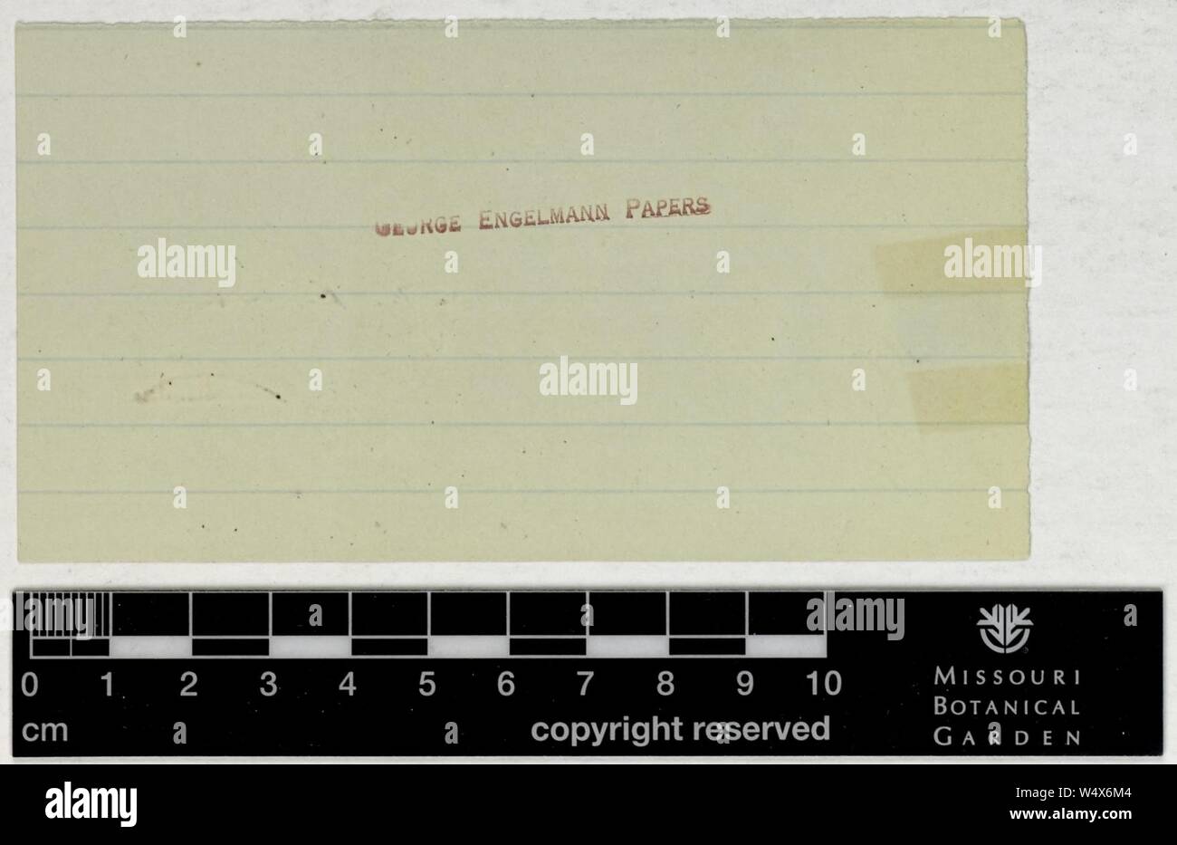 Thomas engelmann hi-res stock photography and images - Alamy