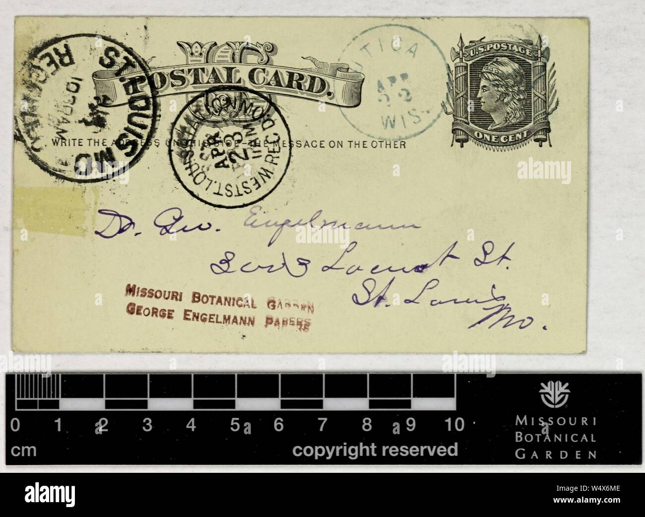 Correspondence - Burdick (Justin) and Engelmann (George) (Apr 22, 1881 ...