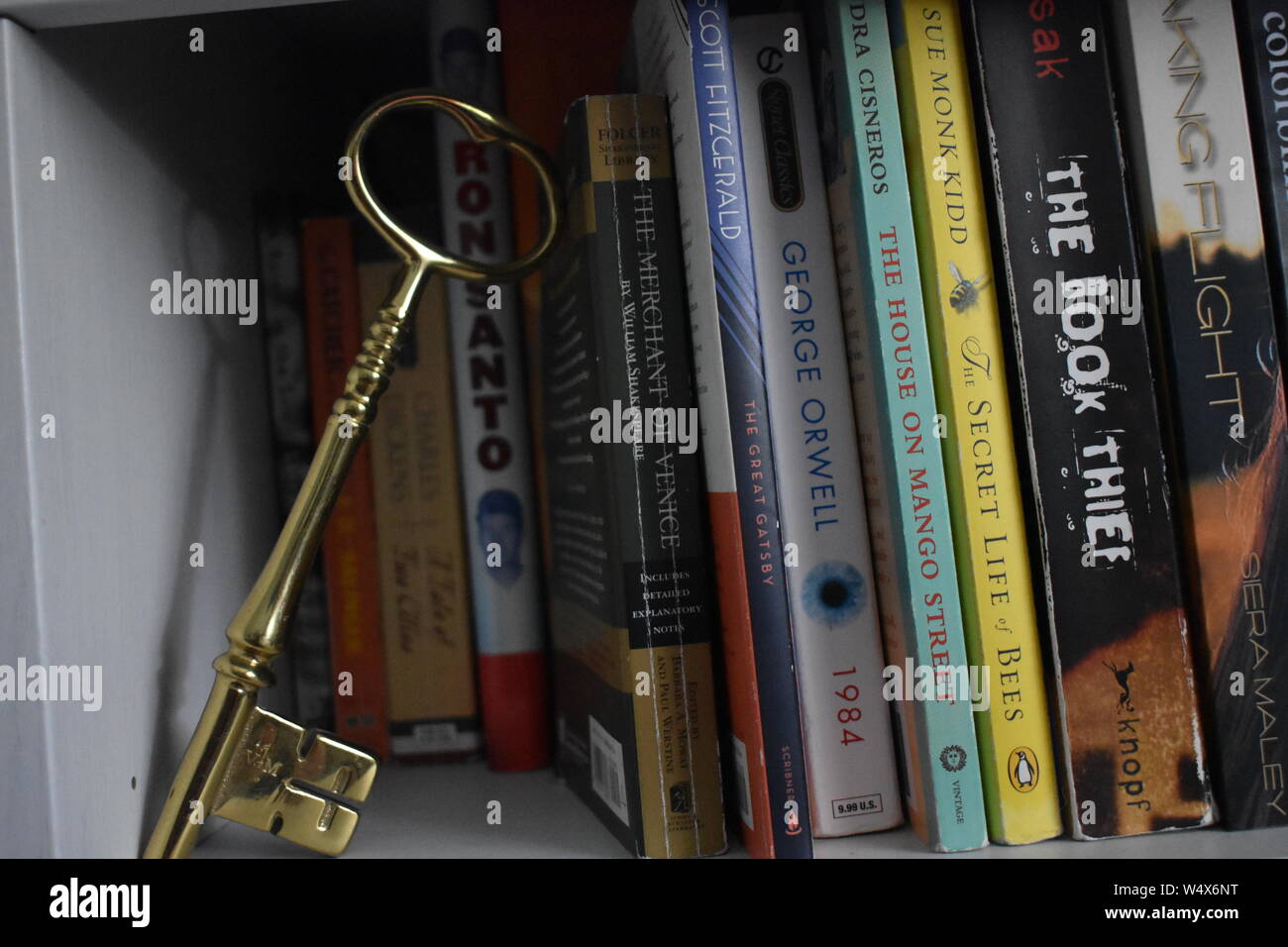 Key and books Stock Photo - Alamy
