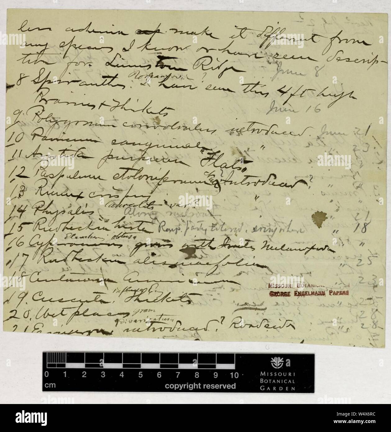Correspondence - Butler (George) and Engelmann (George) (Jun 30, 1877 ...