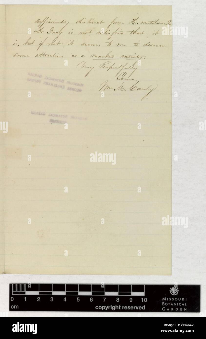 William Marriott High Resolution Stock Photography and Images - Alamy