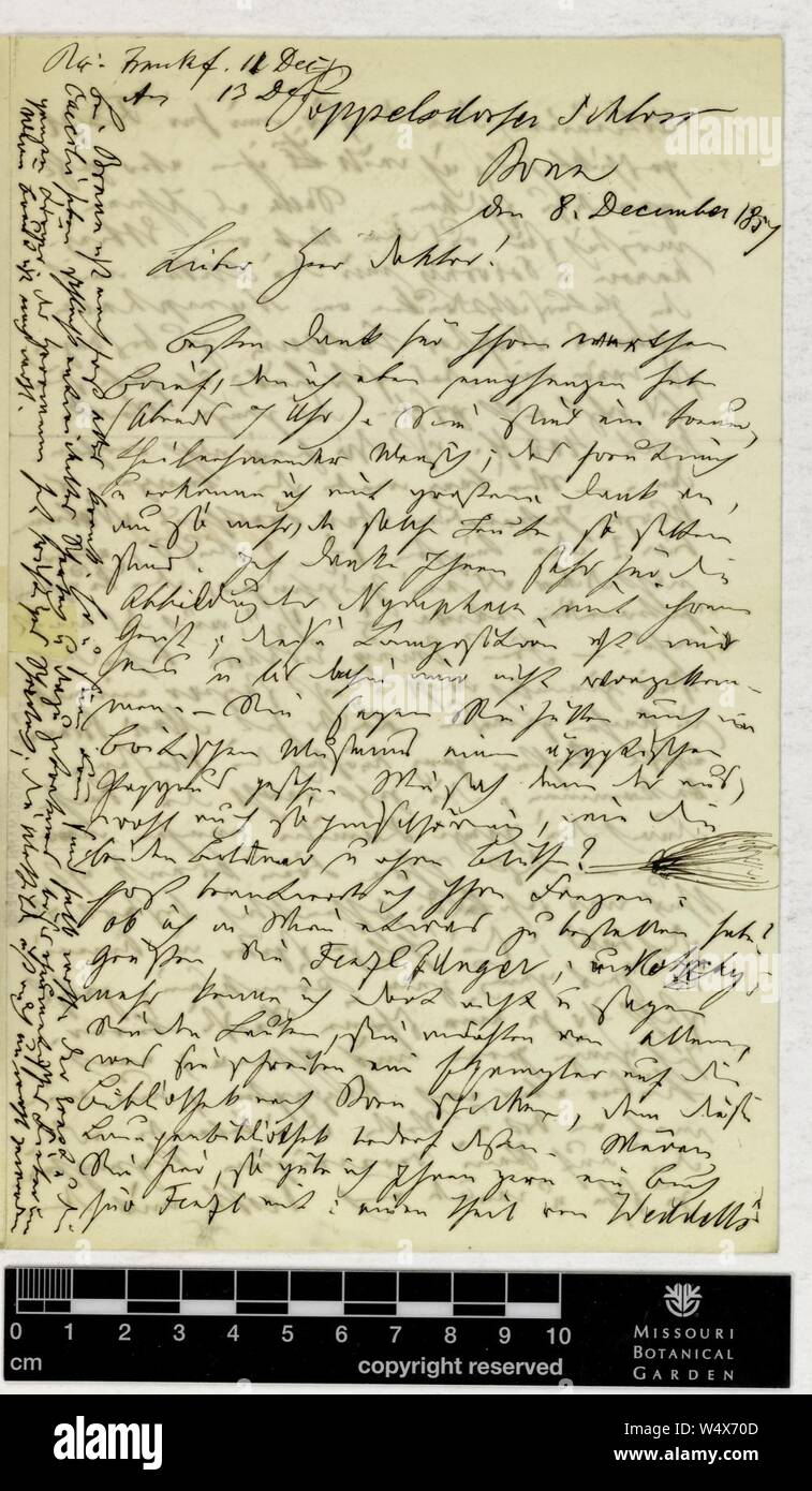 Correspondence - Caspary (Robert) and Engelmann (George) (Dec 8, 1857 ...