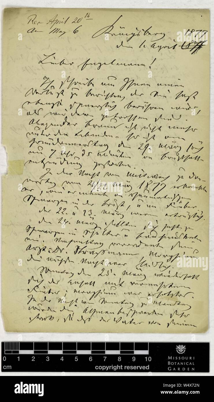 Correspondence - Caspary (Robert) and Engelmann (George) (Apr 1, 1877 ...