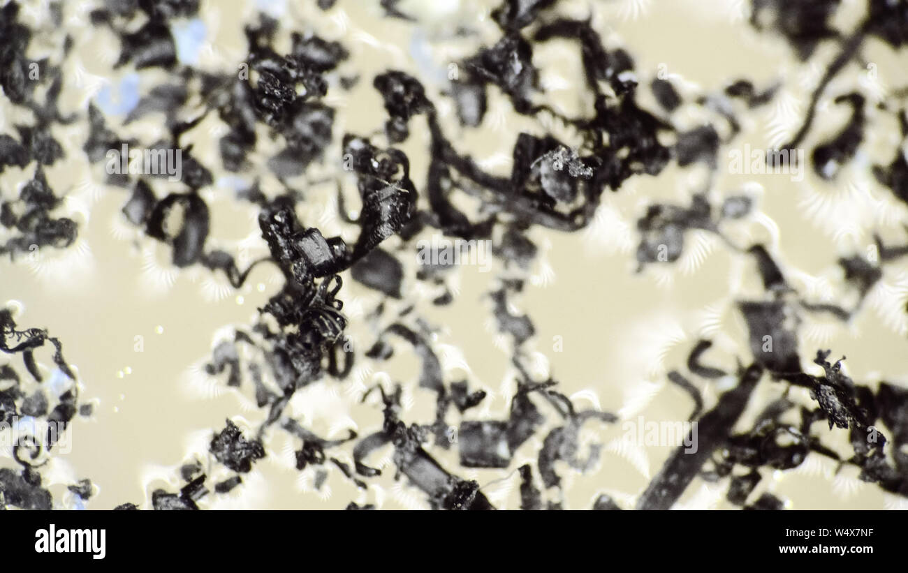 Small particles of plastic stick together in water in fragile fields ...