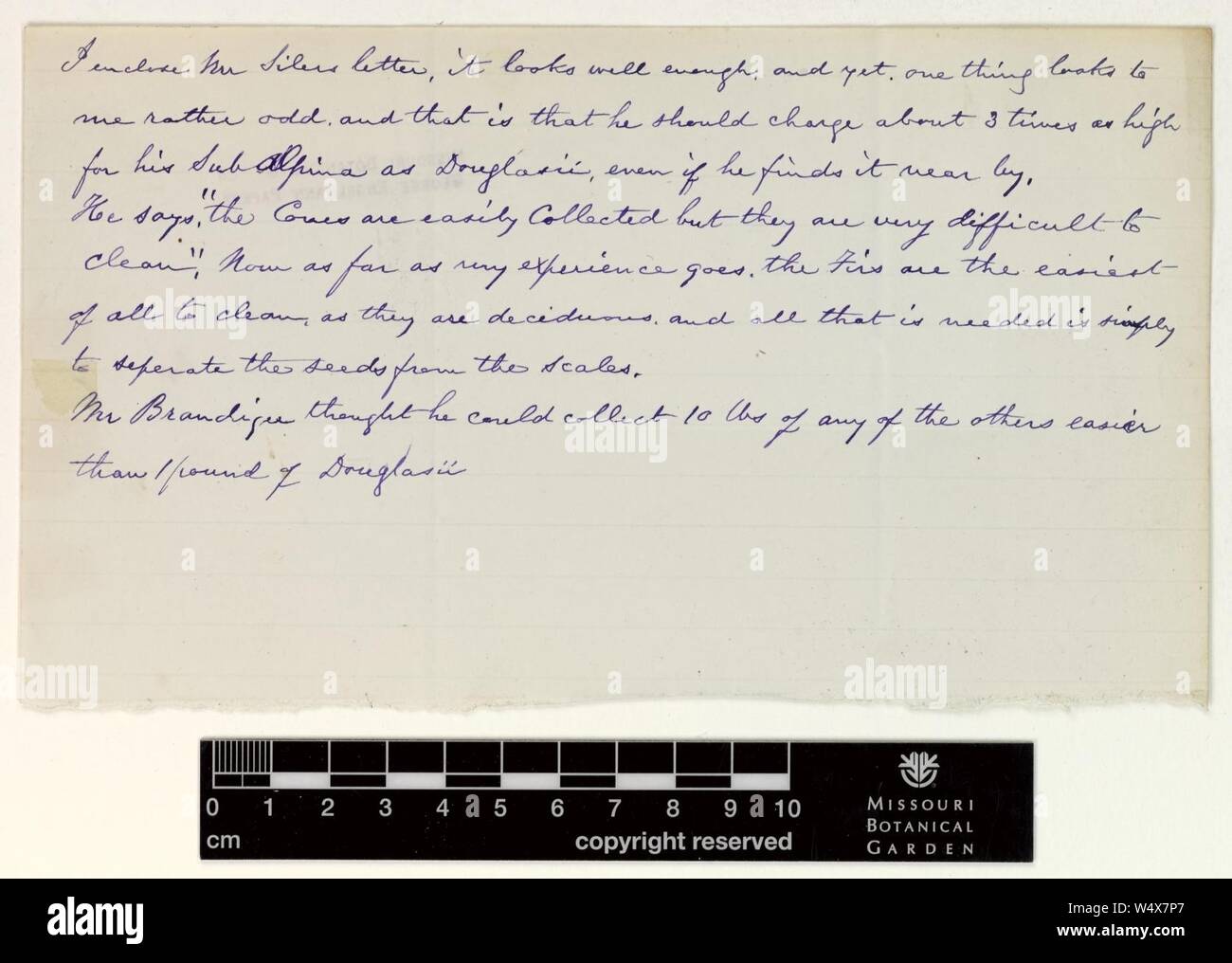 Correspondence - Douglas (Robert) and Engelmann (George) (Aug 20, 1878 ...