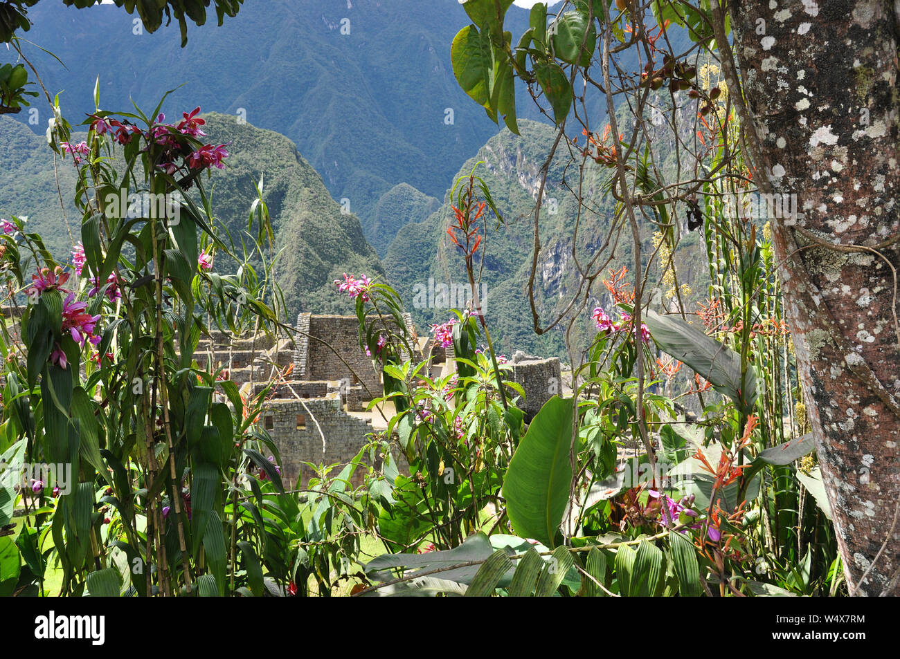 travel in peru cusco machu picchu to lake titicaka Stock Photo - Alamy