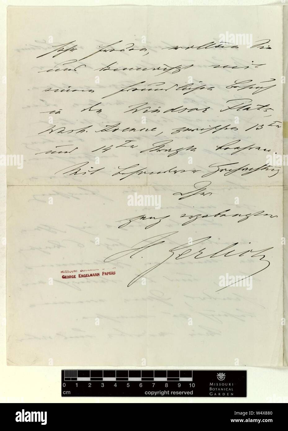 Correspondence - Gerlich (Hermann) and Engelmann (George) (Dec 01, 1879 ...