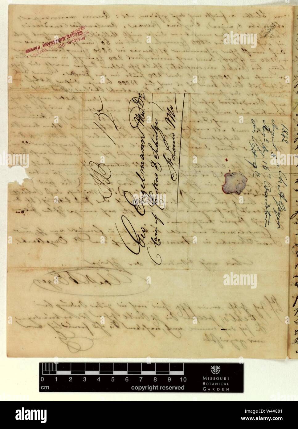 Correspondence - Geyer (Karl) and Engelmann (George) (Aug 08, 1842 (2 ...